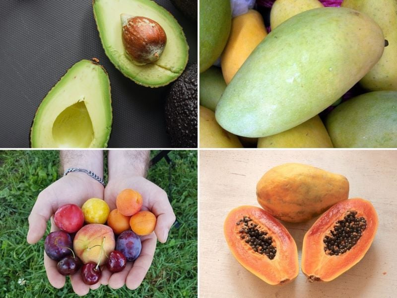 15 Foods That Don't Have To Be Refrigerated - Style Degree