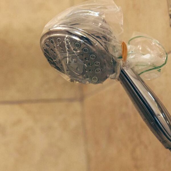 How to clean & unclog shower head - StyleMag - Style Degree