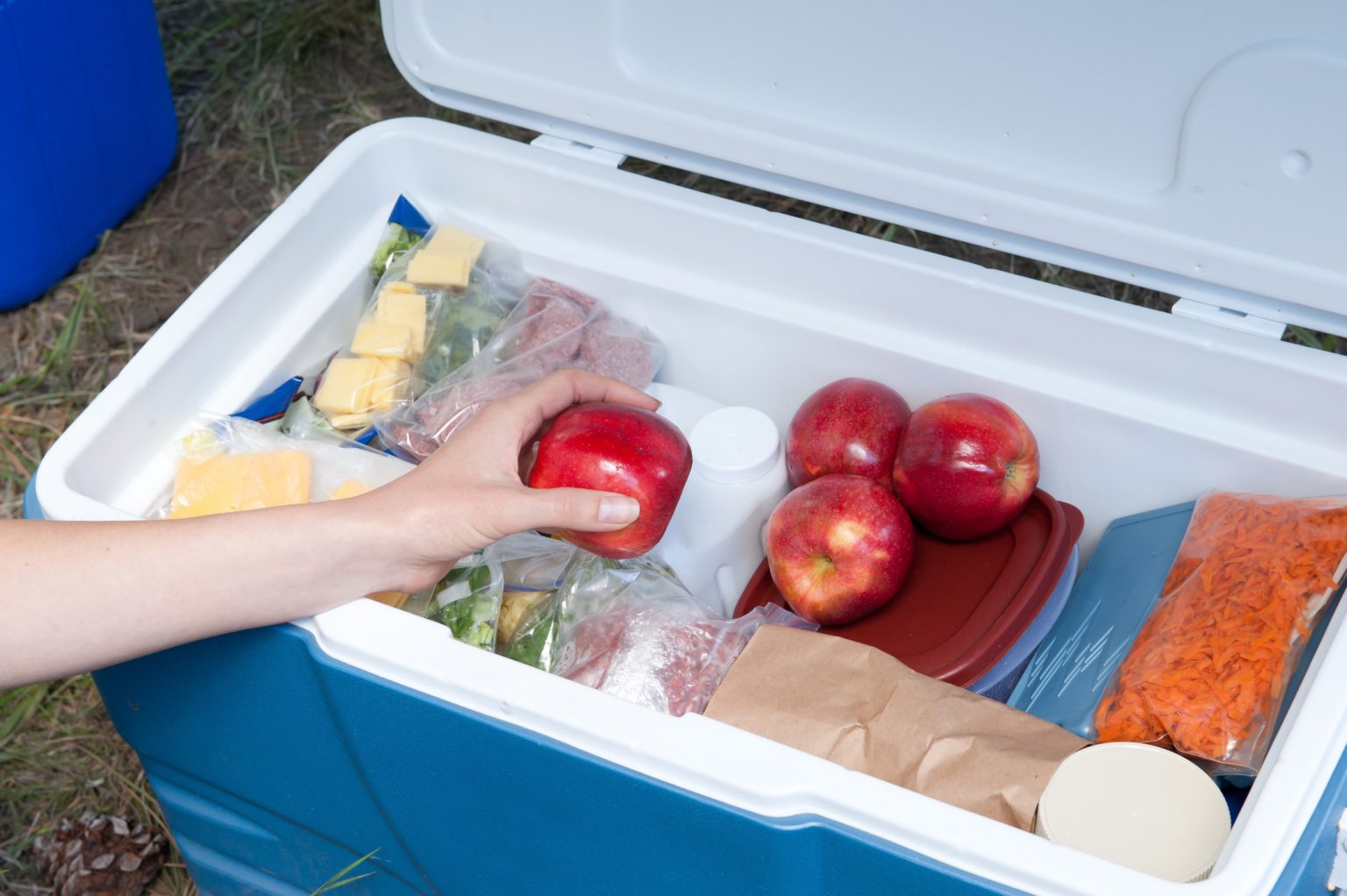 How to keep food safe during picnic - StyleMag - Style Degree