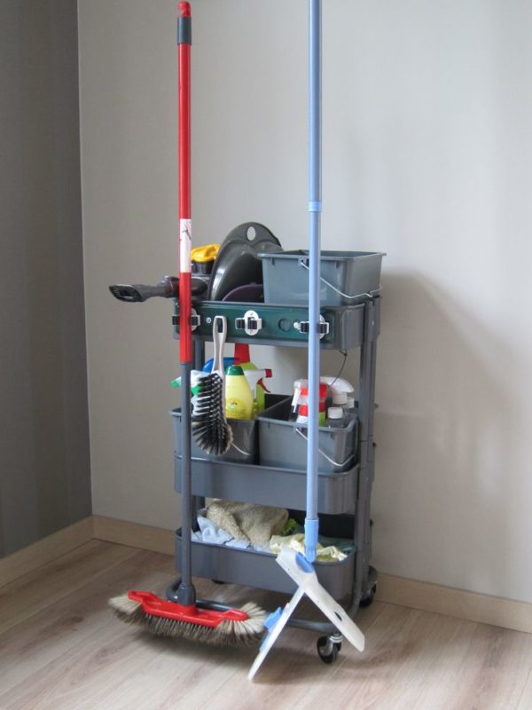 DIY Cleaning Cart - StyleMag - Style Degree