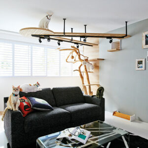 Play areas for cats HDB - StyleMag - Style Degree