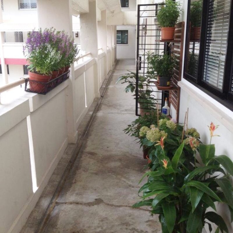 HDB corridor garden ideas - StyleMag - Style Degree