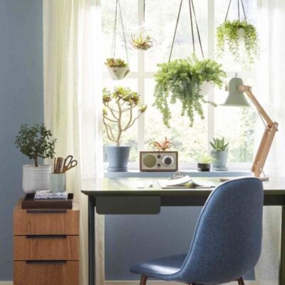 Hanging plants in study room ideas - StyleMag - Style Degree