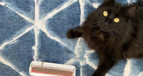 10 Surprisingly Smart Uses Of A Lint Roller - Style Degree