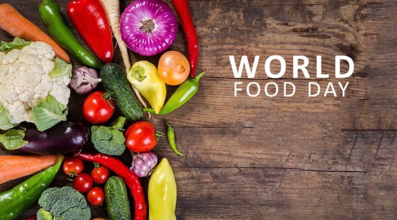 7 Eco-Friendly Ways To Reduce Your Food Wastage - Style Degree