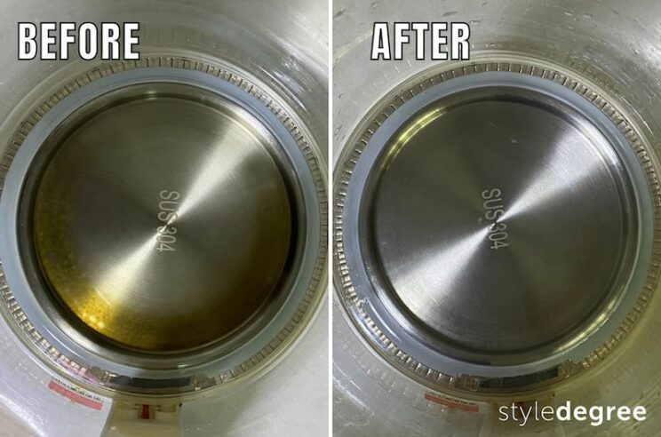 12 Common Flies In Singapore Homes & How To Get Rid Of Them - Style Degree