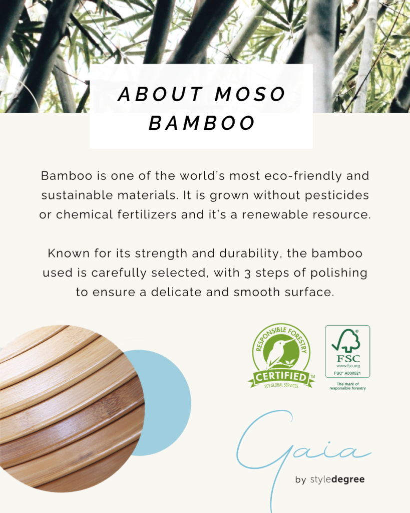 Gaia 2-Tier Pantry Countertop Drawer Shelf - Style Degree