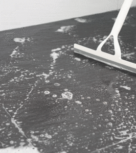 Pristine Extendable Window & Mirror Squeegee | Interchangeable